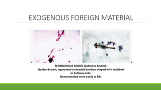 BRONCHOALVEOLAR CYTOLOGY.pptx