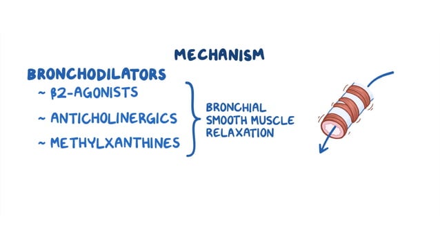 Bronchodilator | PDF
