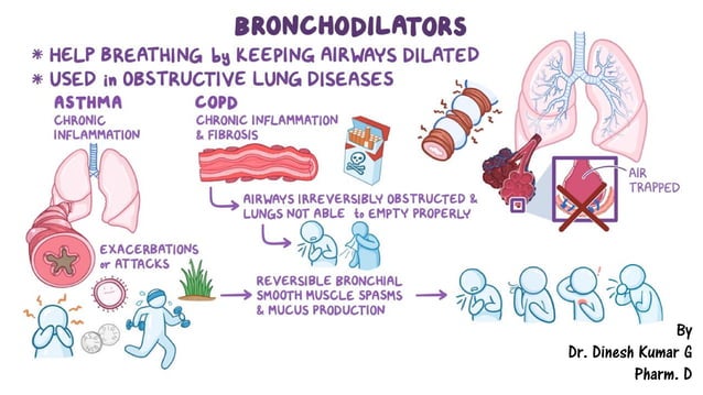 Bronchodilator | PPT
