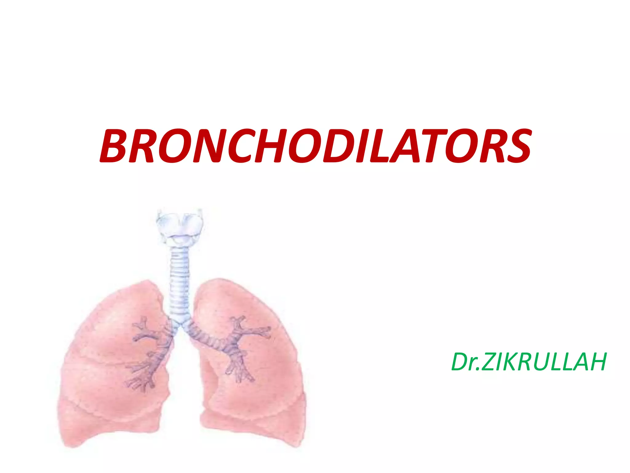 Bronchodilators | PPTX