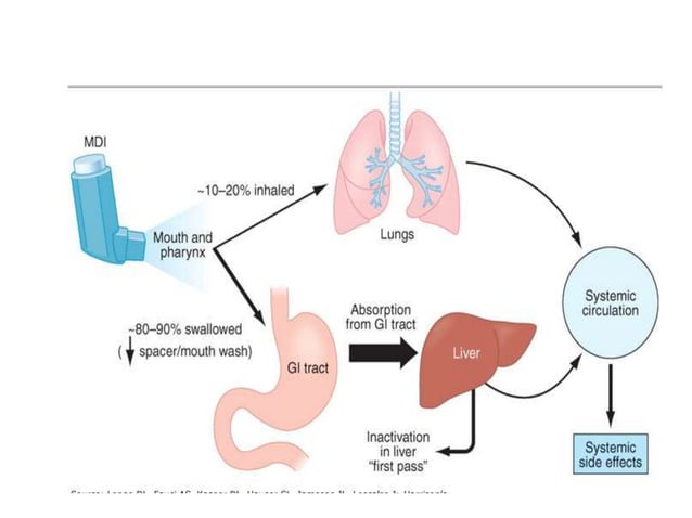 Bronchodilators | PPTX | Lung and Respiratory Health | Diseases and ...