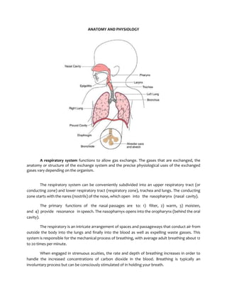 Bronchopneumonia | DOCX