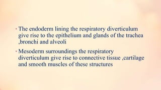 Bronchopneumonia (1) | PPTX
