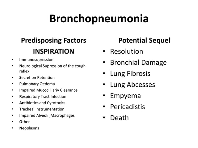 Bronchopnuemonia | PPTX | Lung and Respiratory Health | Diseases and ...