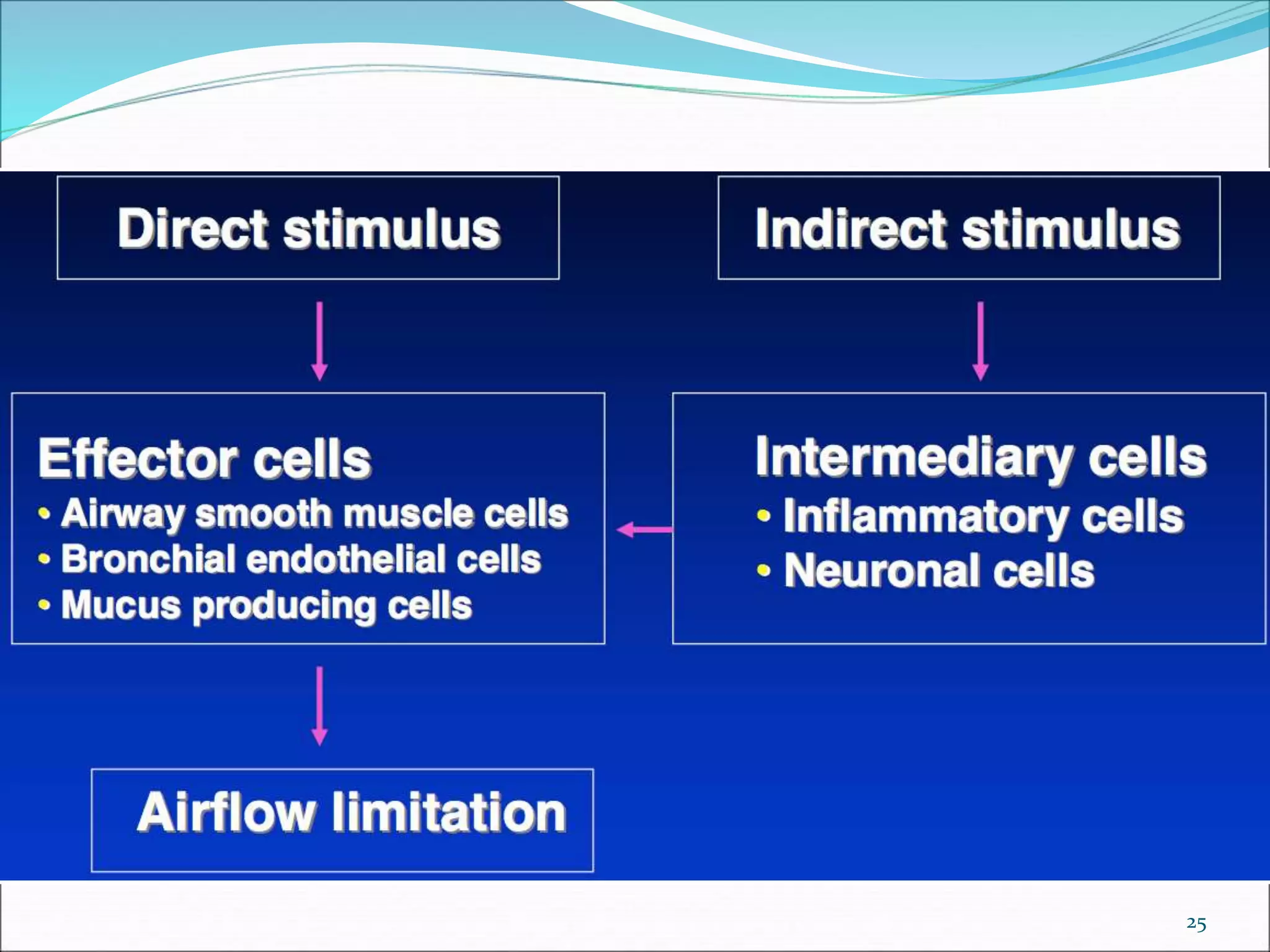 Broncho Provocation Testing Ppt Pptx Lung And Respiratory Health Diseases And Conditions