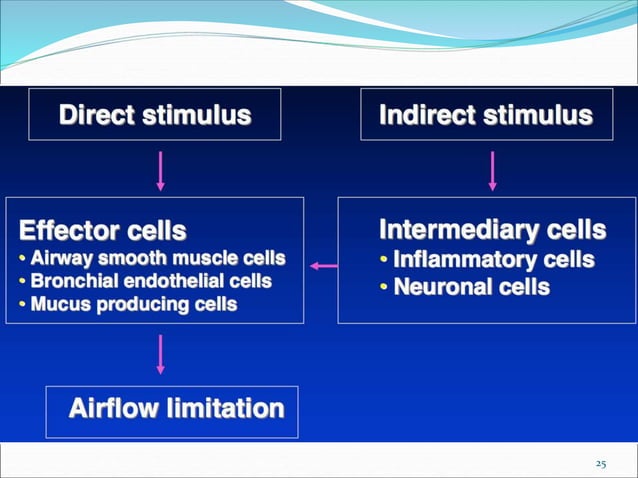 Broncho provocation testing ppt | PPTX | Lung and Respiratory Health ...