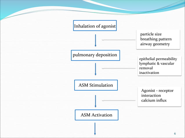 Broncho provocation testing ppt | PPTX | Lung and Respiratory Health ...