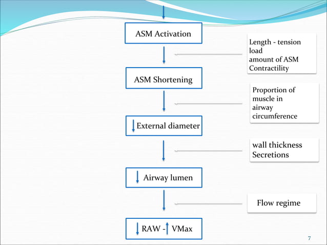Broncho provocation testing ppt | PPTX | Lung and Respiratory Health ...