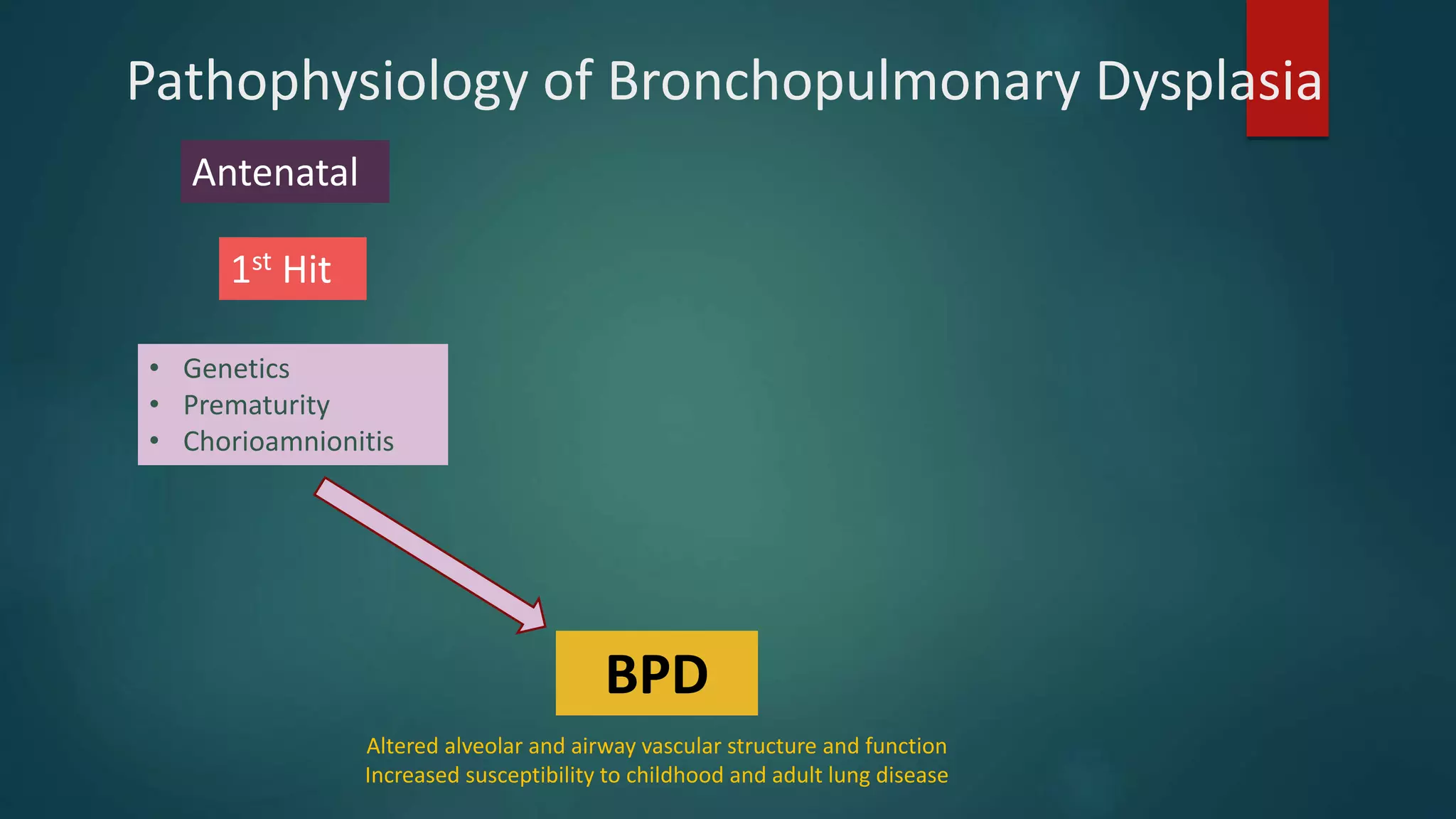 Bronchopulmonary dysplasia updates_and_prevention dr falakha | PPTX