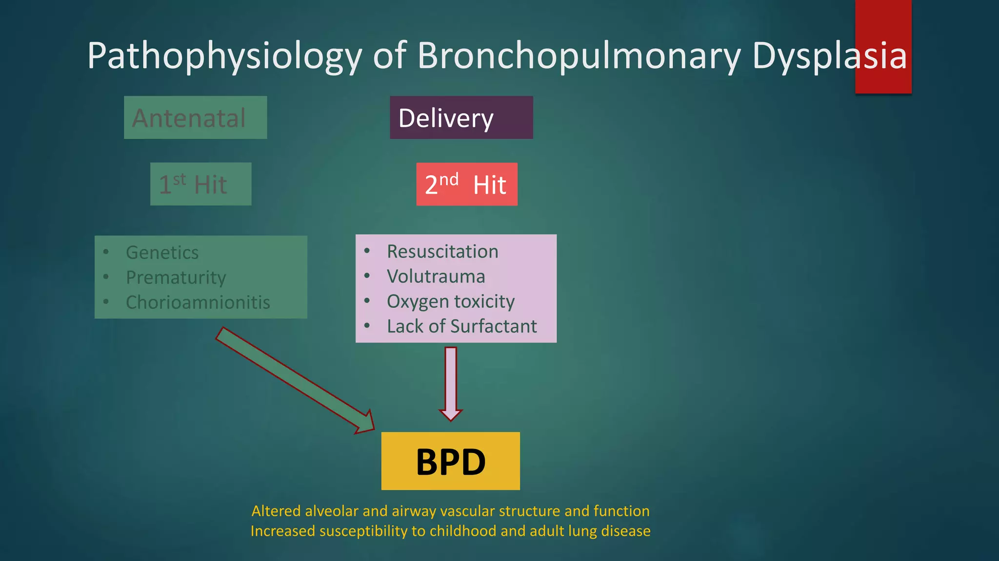 Bronchopulmonary dysplasia updates_and_prevention dr falakha | PPTX