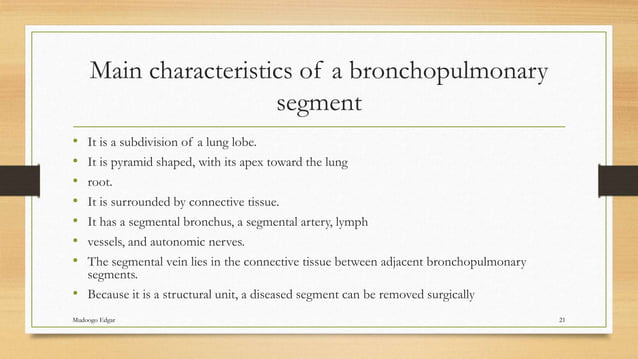 Bronchopulmonary segments | PPT