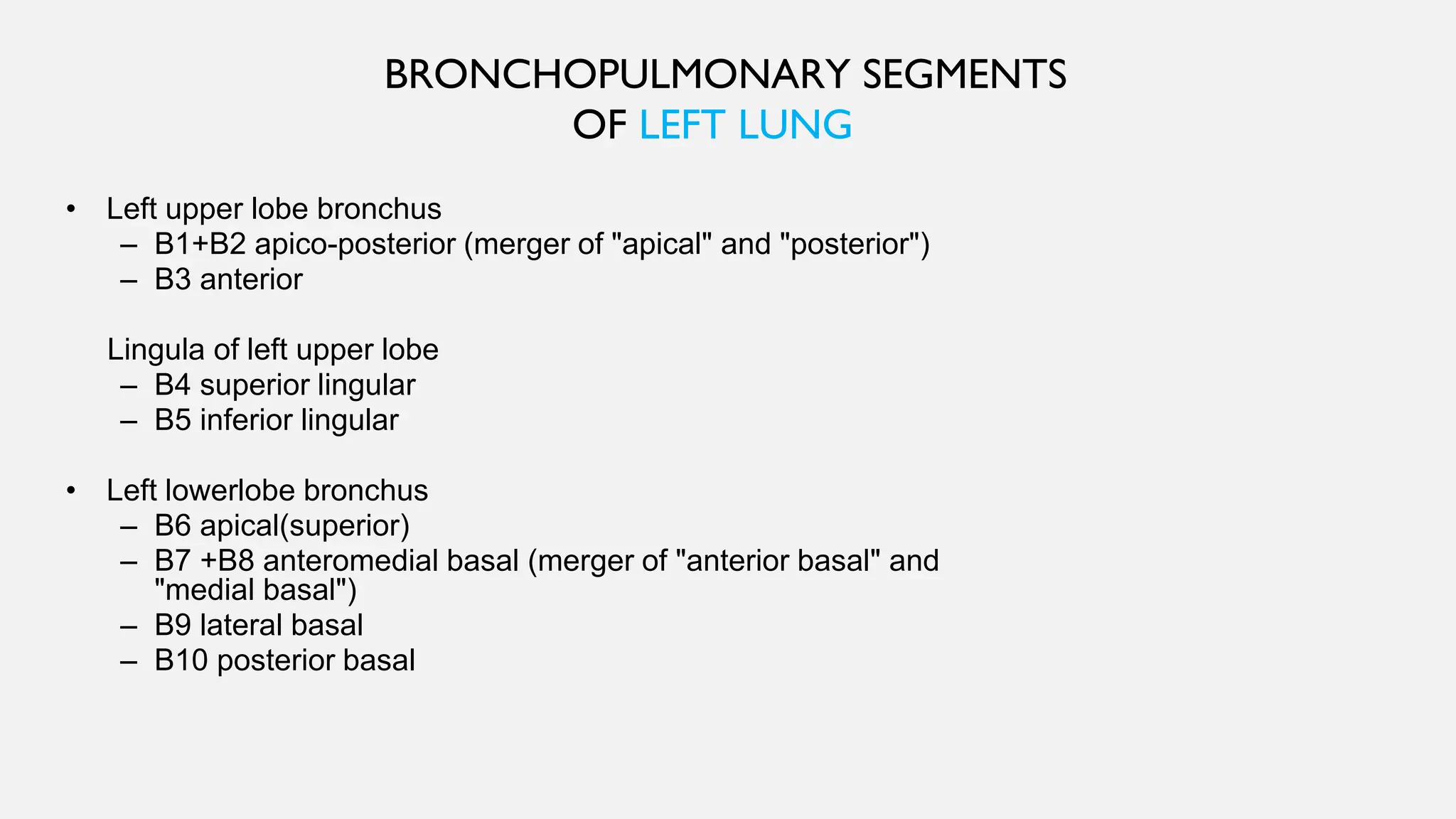 BRONCHOPULMONARY SEGMENTS RADIOLOGY AND IMAGING | PPTX