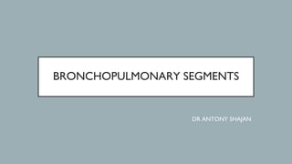 BRONCHOPULMONARY SEGMENTS RADIOLOGY AND IMAGING | PPTX