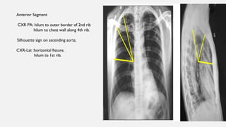 BRONCHOPULMONARY SEGMENTS RADIOLOGY AND IMAGING | PPTX