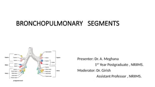 BRONCHO PULMONARY SEGMENTS of lung .pptx