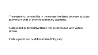 BRONCHO PULMONARY SEGMENTS of lung .pptx