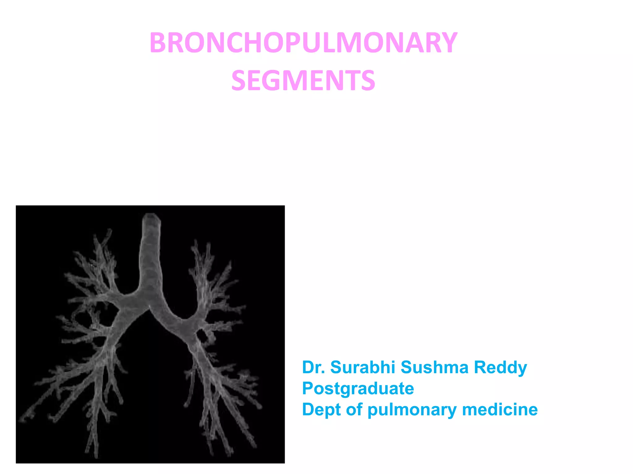 BRONCHOPULMONARY SEGMENTS OF THE LUNG | PPTX