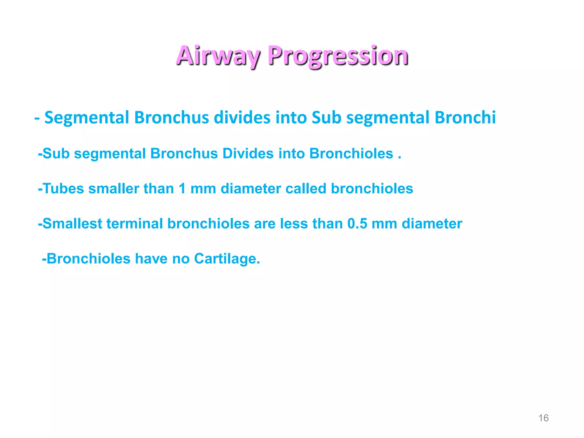 BRONCHOPULMONARY SEGMENTS OF THE LUNG | PPTX