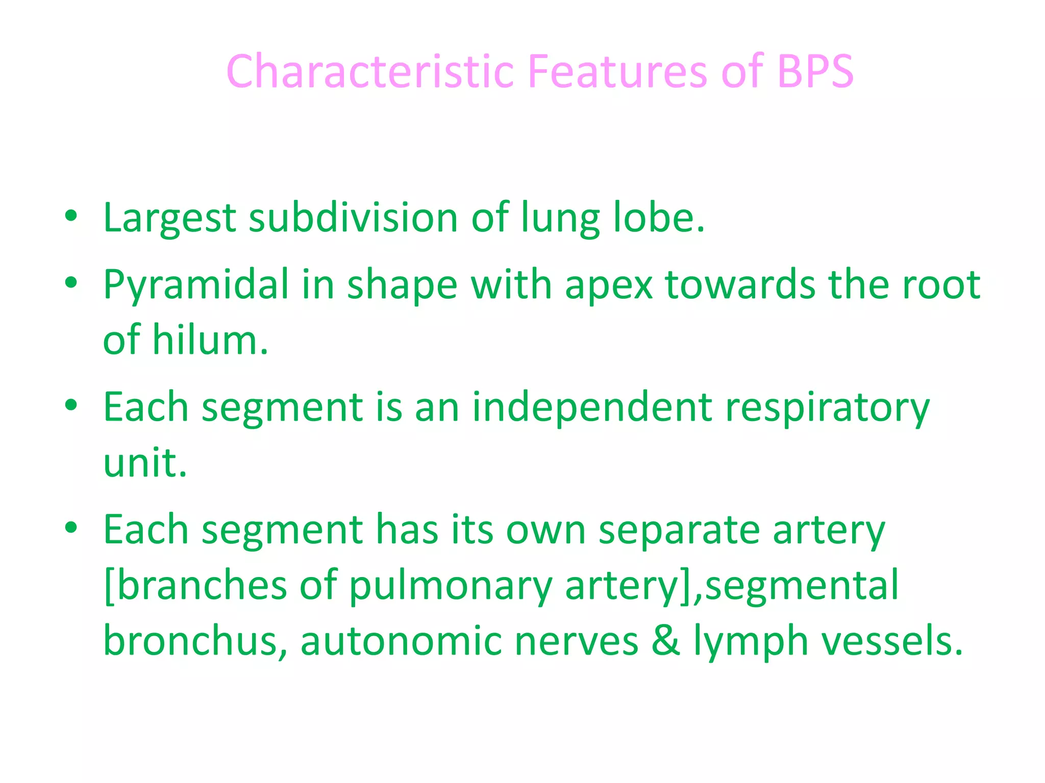 BRONCHOPULMONARY SEGMENTS OF THE LUNG | PPTX