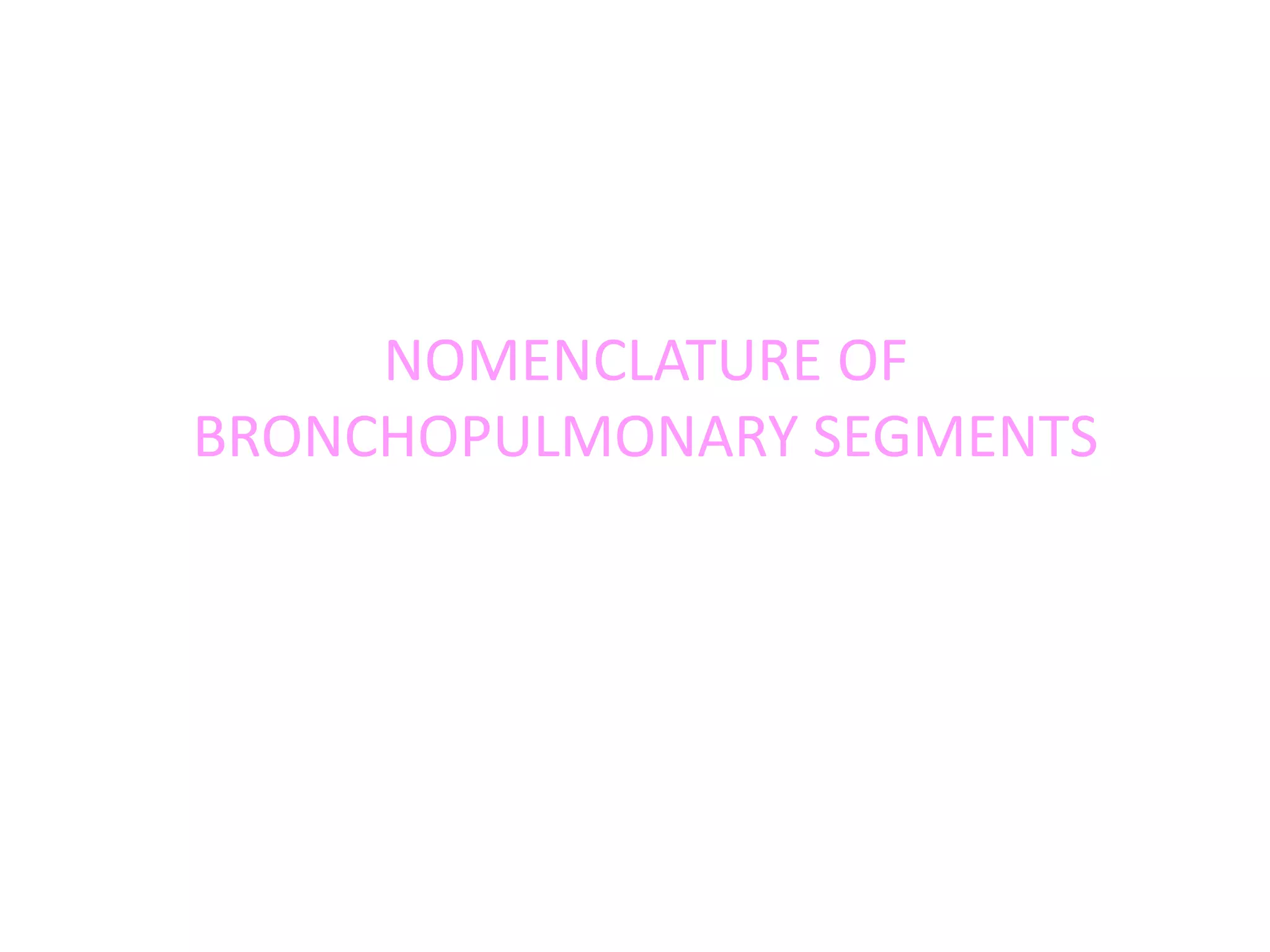 BRONCHOPULMONARY SEGMENTS OF THE LUNG | PPTX