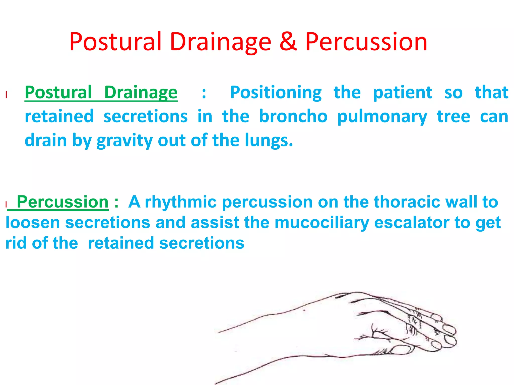 BRONCHOPULMONARY SEGMENTS OF THE LUNG | PPTX