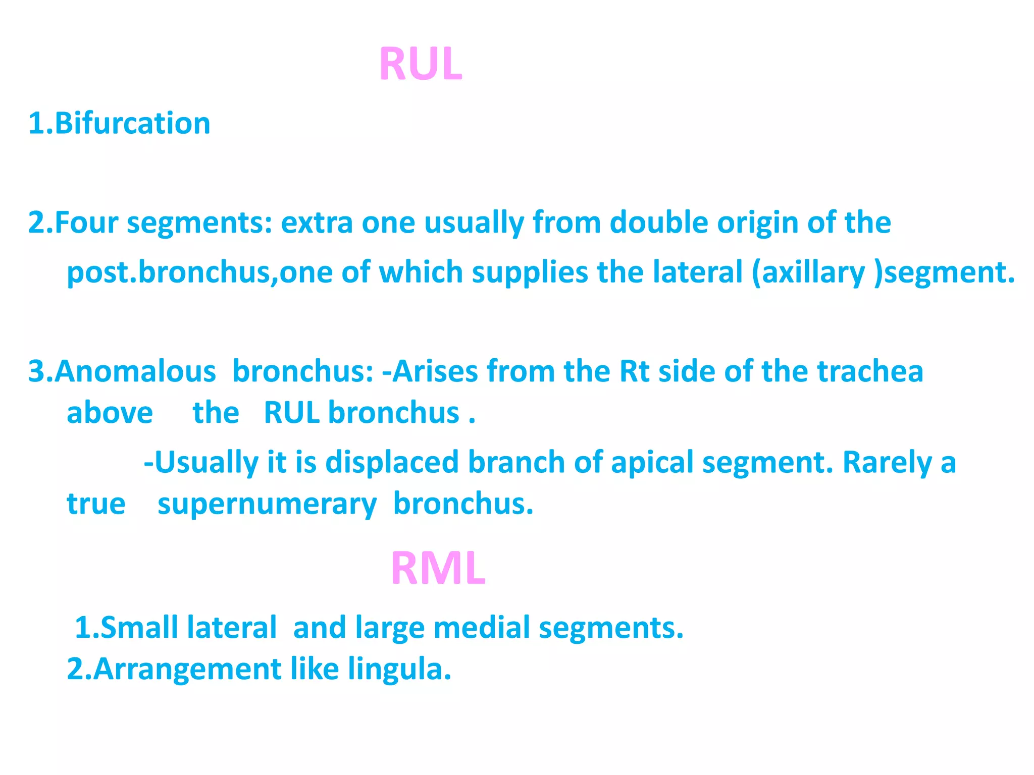 BRONCHOPULMONARY SEGMENTS OF THE LUNG | PPTX
