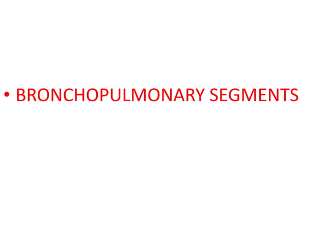 BRONCHOPULMONARY SEGMENTS OF THE LUNG | PPTX | Death, Injury, or Military Conflict | Sensitive ...
