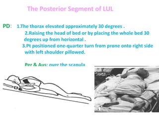 BRONCHOPULMONARY SEGMENTS OF THE LUNG | PPTX