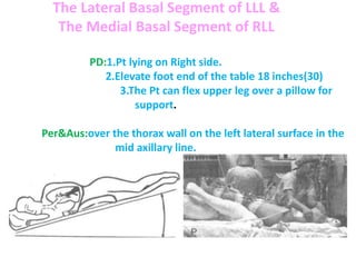 BRONCHOPULMONARY SEGMENTS OF THE LUNG | PPTX