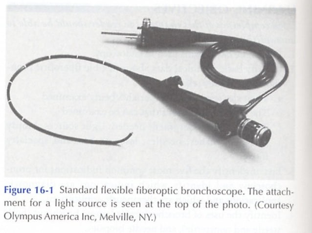 Bronchoscopy, Diagnostic technique | PPT | Lung and Respiratory Health ...
