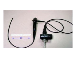 bronchoscopy 2022 .....pdf