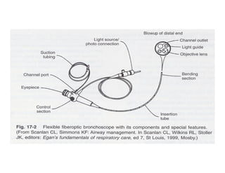 bronchoscopy 2022 .....pdf