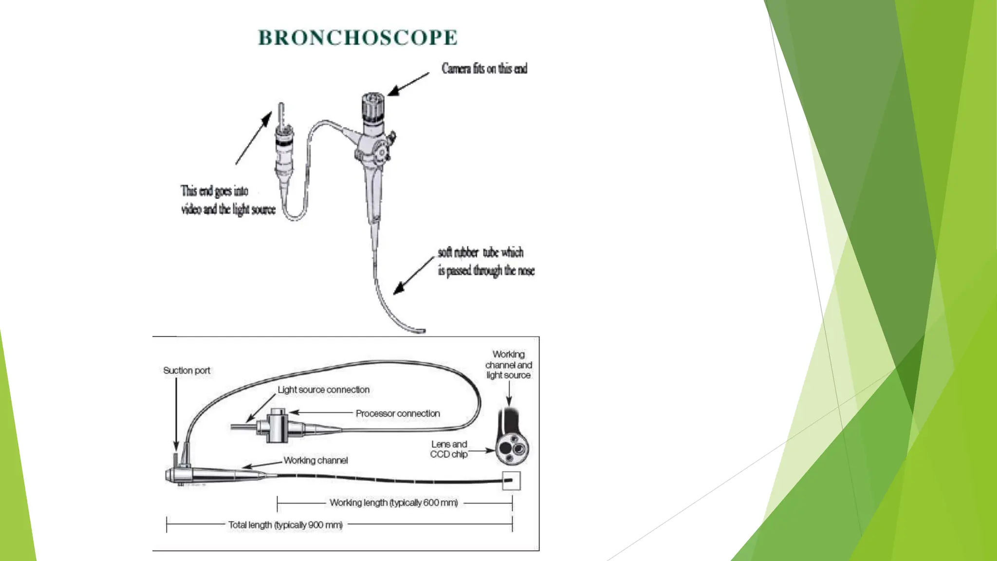 Flexible Bronchoscopy(Basic Diagnostic).pptx