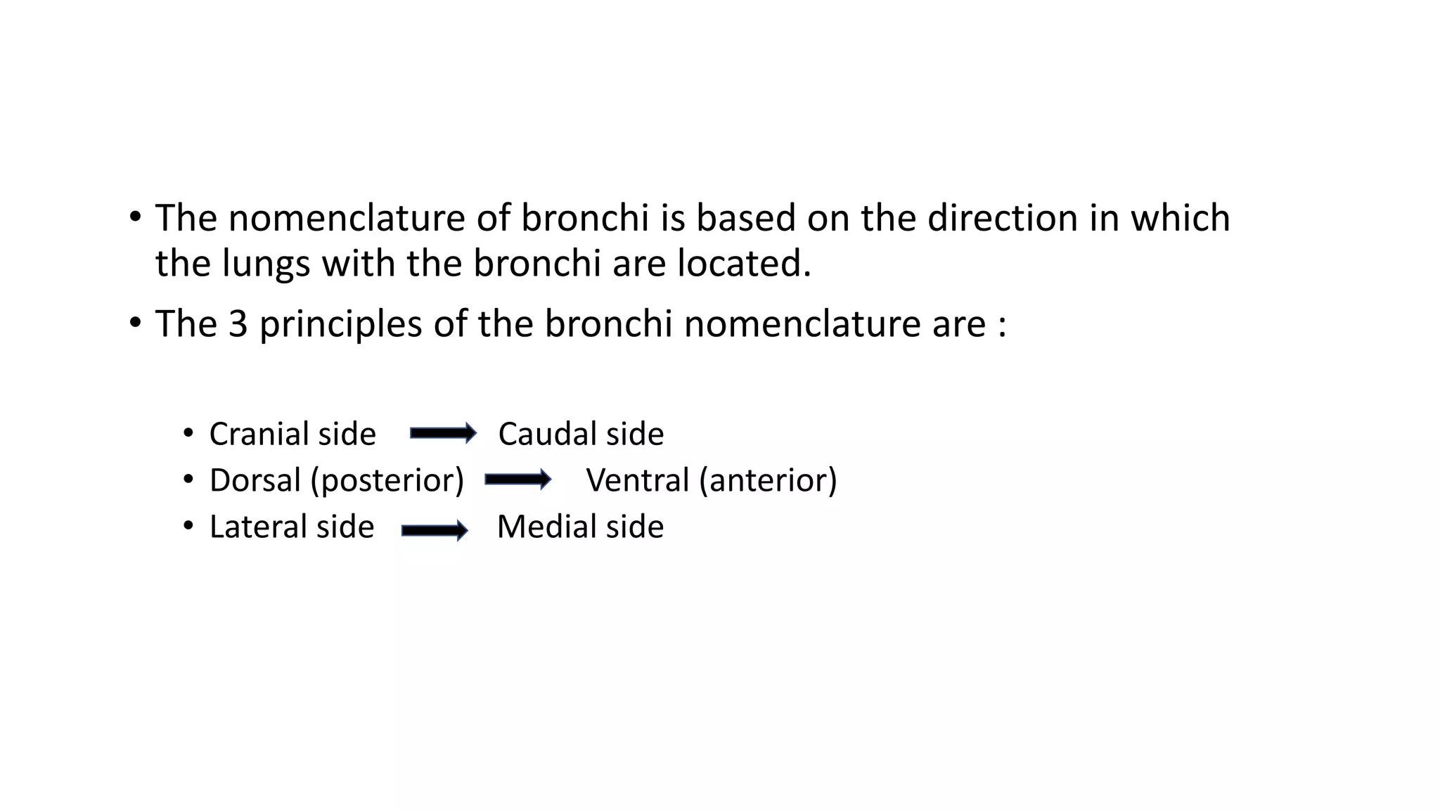 Bronchoscopy nomenclature | PPTX