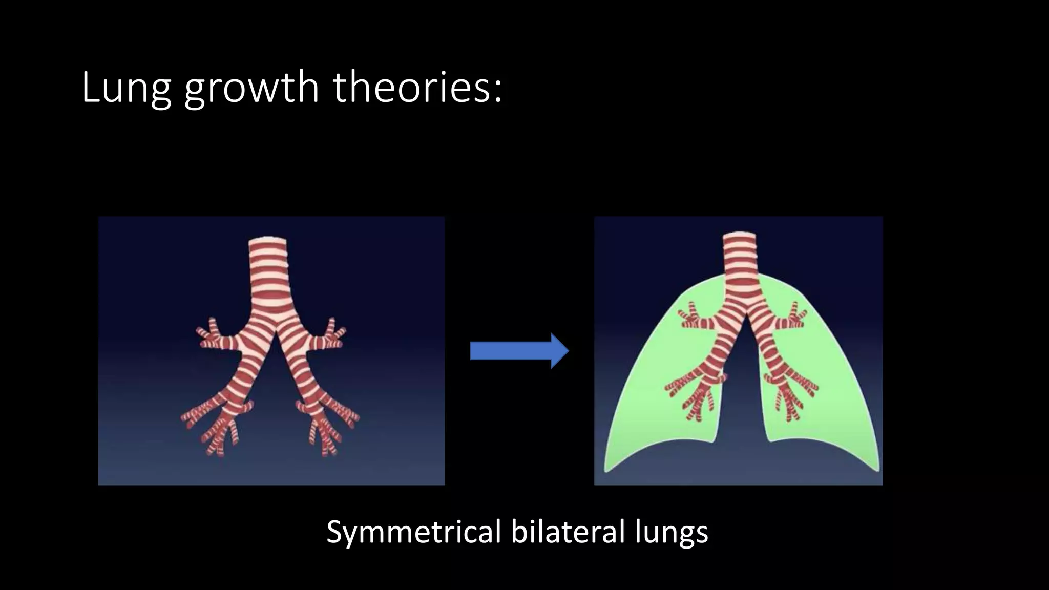 Bronchoscopy nomenclature | PPTX