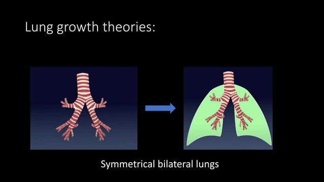 Bronchoscopy nomenclature | PPTX