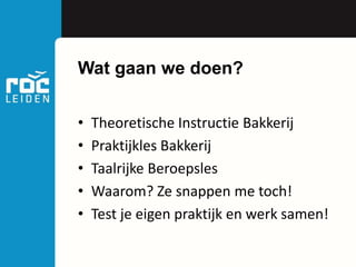 Taal in beroepsvakken | PPTX