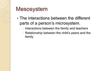 Bronfenbrenner ecological theory | PPTX