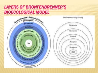 Bronfenbrenner Ecological Theory | PPTX