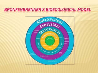 Bronfenbrenner Ecological Theory | PPTX