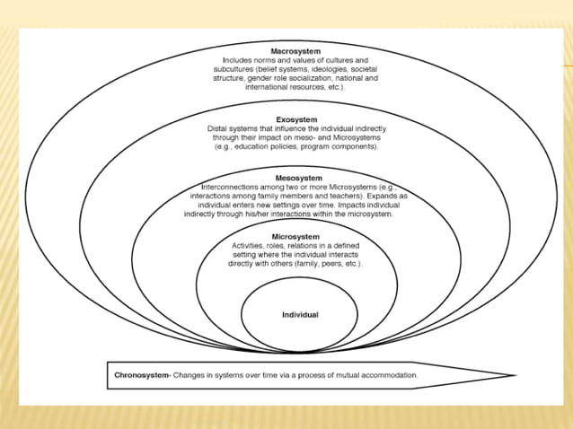 Bronfenbrenner Ecological Theory | PPTX