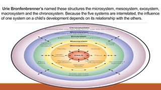 Bronfenbrenner’s Ecological Systems Theory.pptx