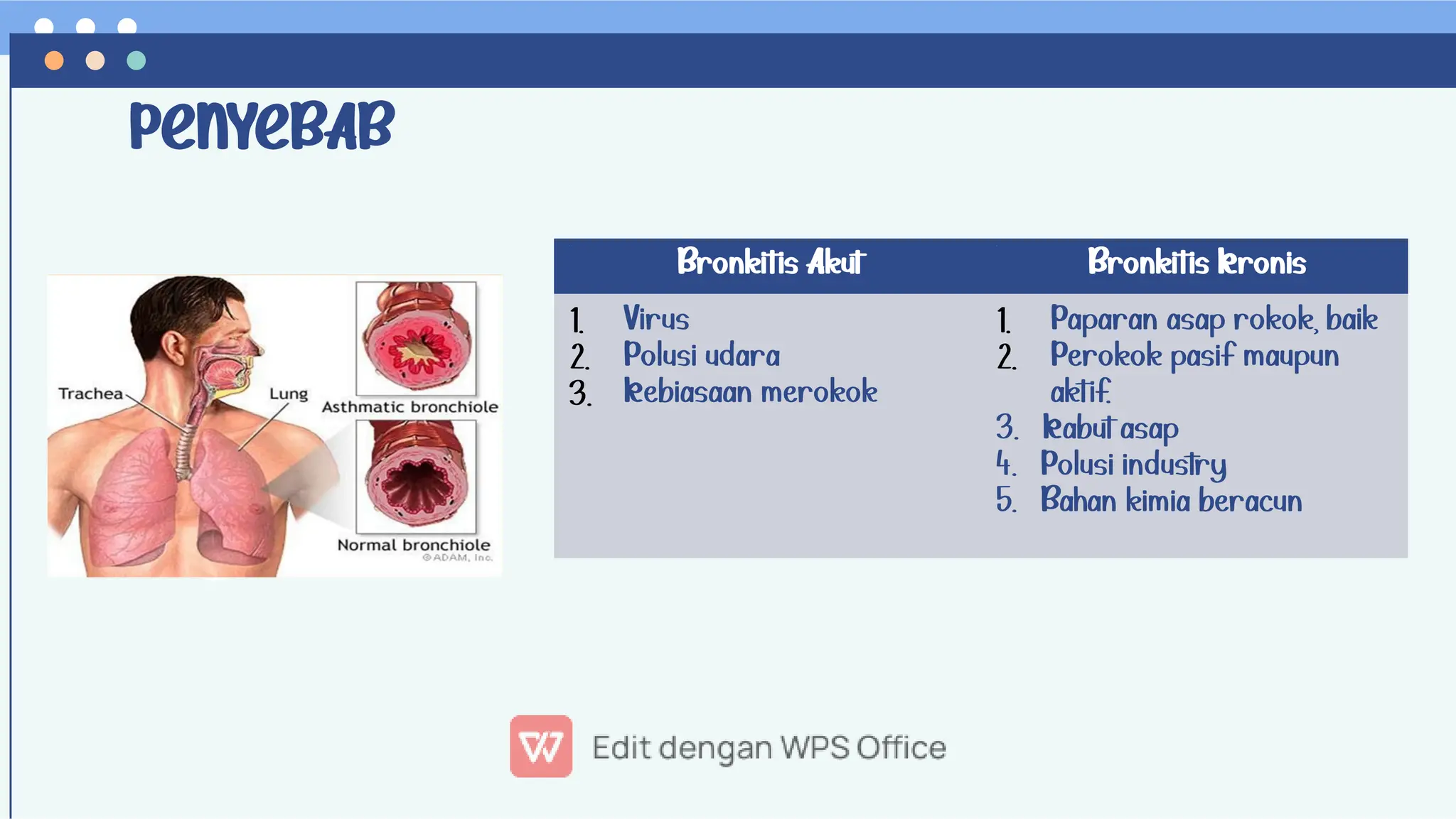 BRONKITIS KELOMPOK farmakolgi Kelas 12kurikulum | PDF