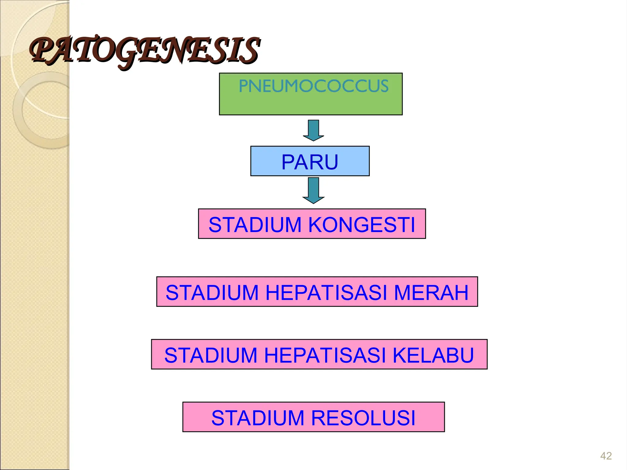 presentasi kasus Bronkopneumonia PPT.ppt