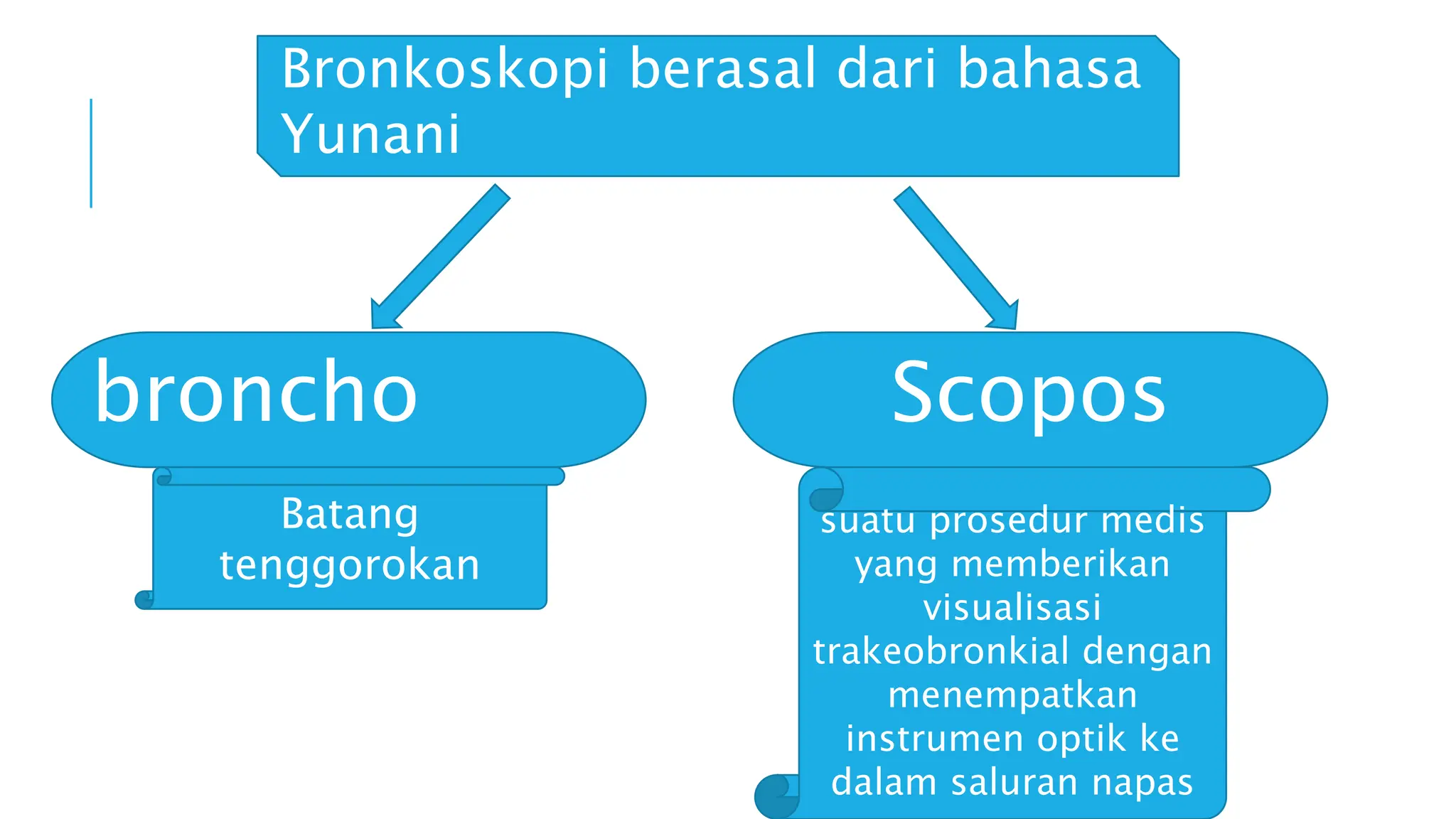 Bronkoskopi procedure of lung examination .pptx