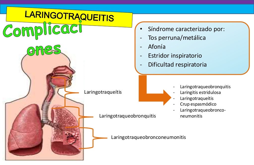 Bronquilitis, laringotraqueitis y tos ferina