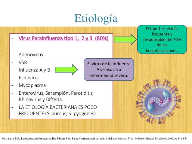 Bronquiolitis y Laringotraqueítis (CRUP)