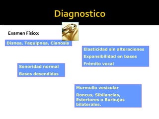 Bronquitis | PPT