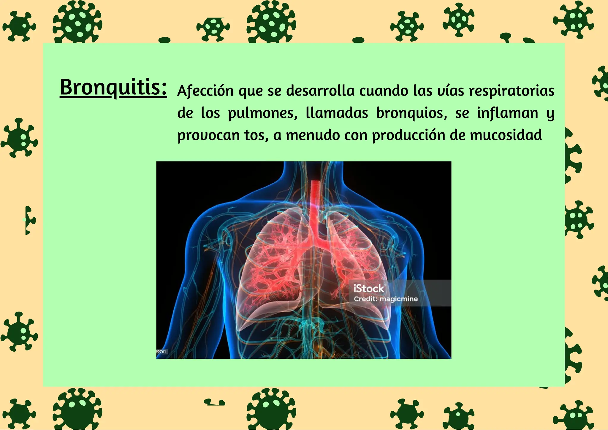 Enfermedad Bronquitis, síntomas, y curas | PDF
