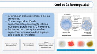 Bronquitis microbiología clínica II todos los tipos | PDF